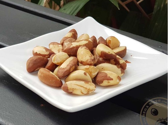 Buy Bega Nuts | Jumbo Cashew Nuts Size 1kg | beganuts