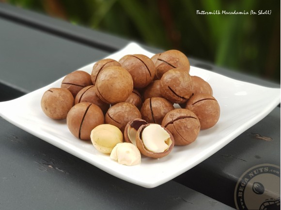 Bega Nuts |Wholesale Nuts, Dried Fruits, Seeds, and Snacks.