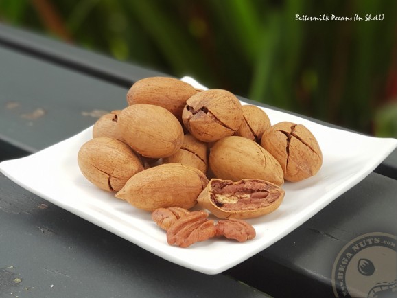 Bega Nuts |Wholesale Nuts, Dried Fruits, Seeds, and Snacks.